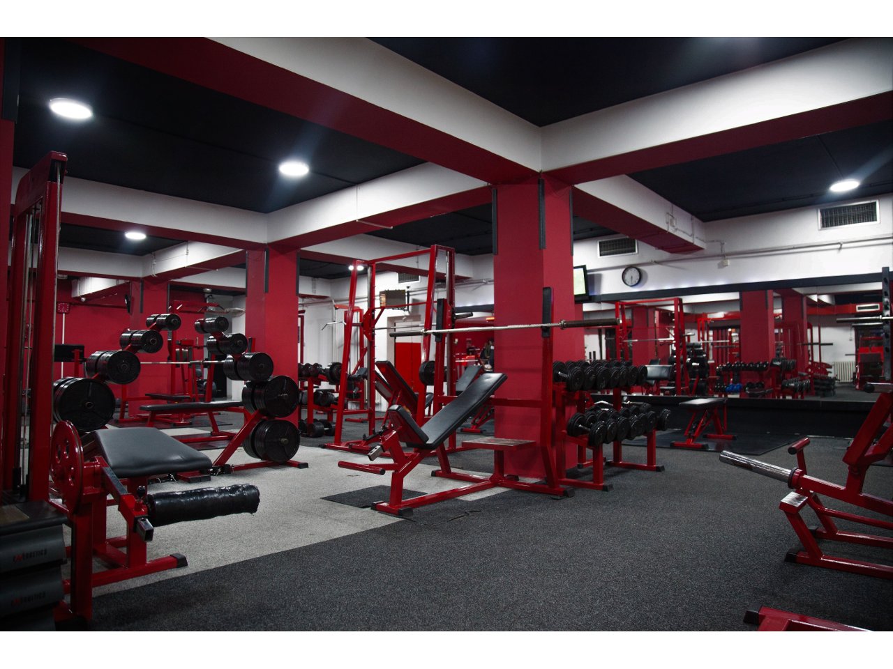 ORCA GYM | pripreme za DIF Beograd | Teretane, fitness | Jablanička 47a ...