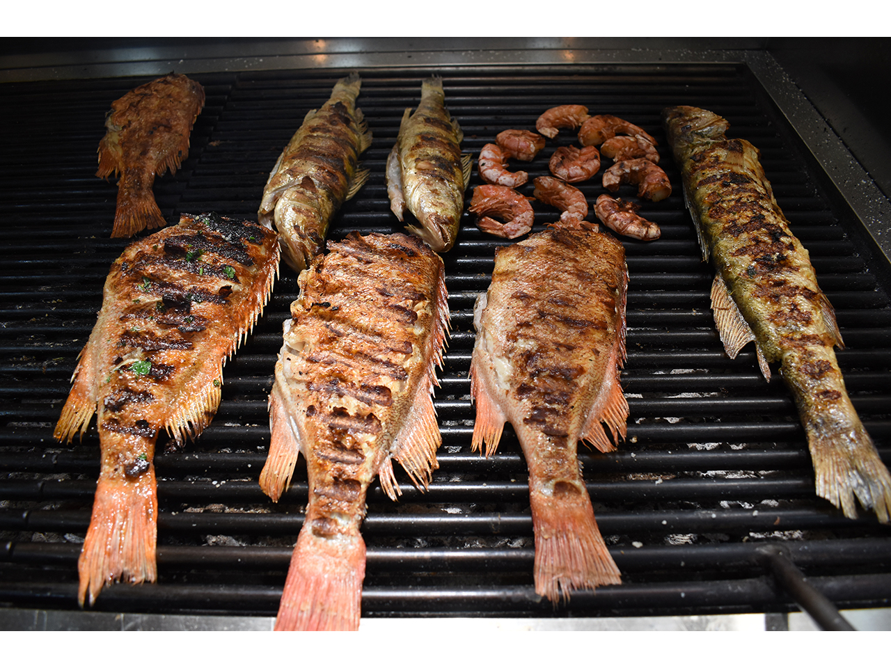 FISH HOUSE BGD - RIBA NA ĆUMUR | ribnica bulevar, riba na ćumur ...