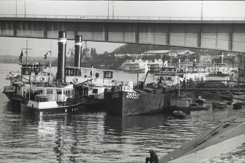 Brod "Sip" - Jedan od dva preživela betonska broda