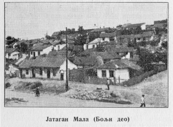 Baba Jela: Proročica iz Jatagan-male čije karte su predvidele ...