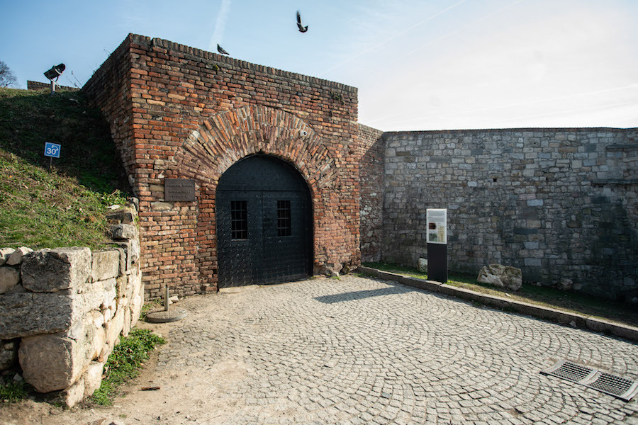 Kako su vampiri terorisali Beograd i zamalo ga pretvorili u grad straha